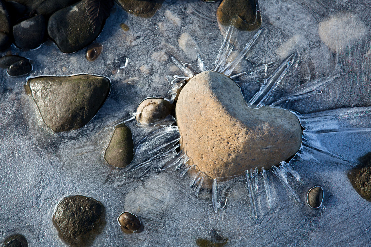 Medizinforum digital: Eiskalte Therapie – Kryoablation bei ...