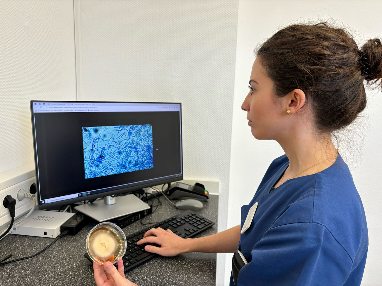 Hautpilze auf dem Vormarsch - auch in Duisburg | Helios St. Johannes ...