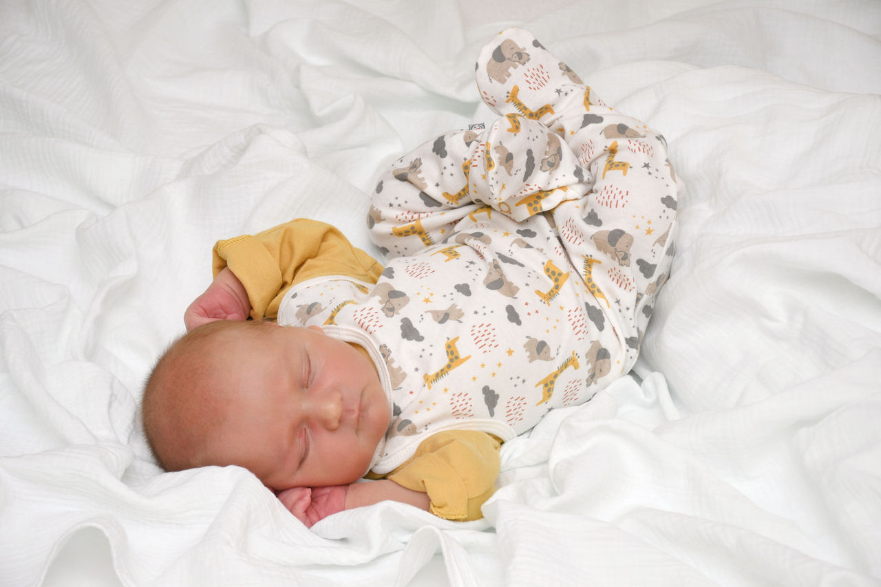 Louis Orlando | Helios Klinikum Pirna